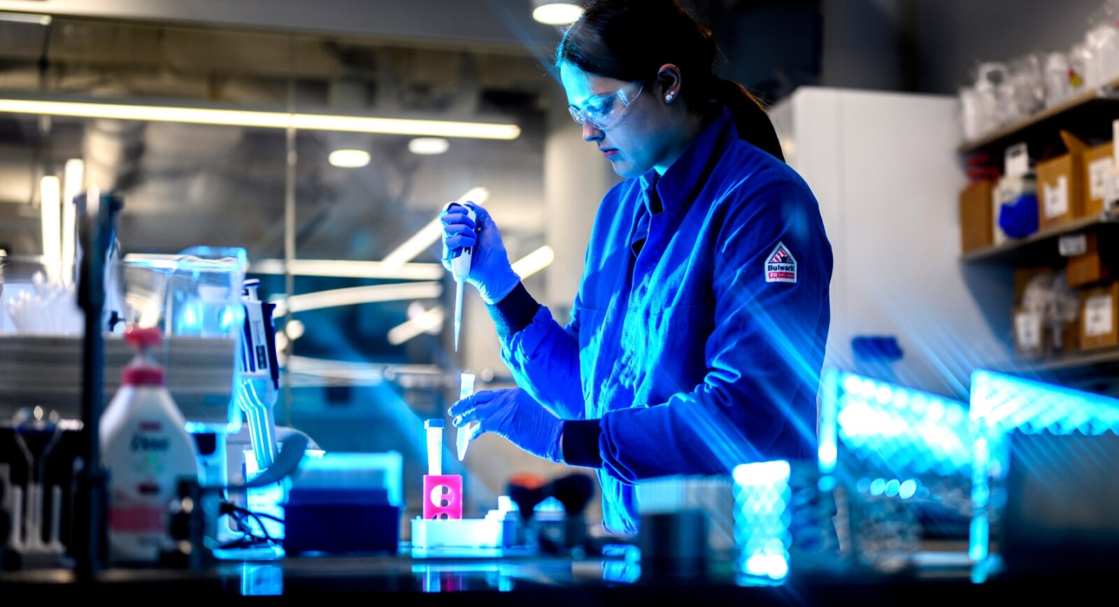 Undergraduate Research Programs & Resources | Northeastern