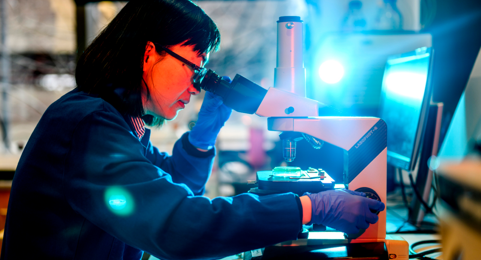 Leadership Areas - Northeastern Research